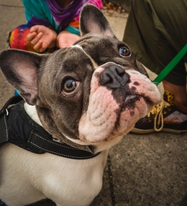 Fort Wayne Photographers Club