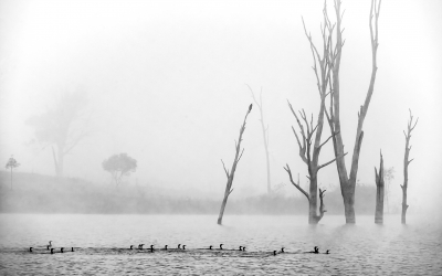 Peninsula Camera Club