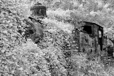 Peninsula Camera Club