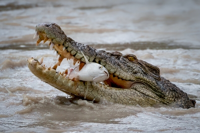 Wangi Workers Camera Club